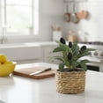 2026 Artificial Olive Potted Plant in Handmade Rattan Pot - Full Leaf ...