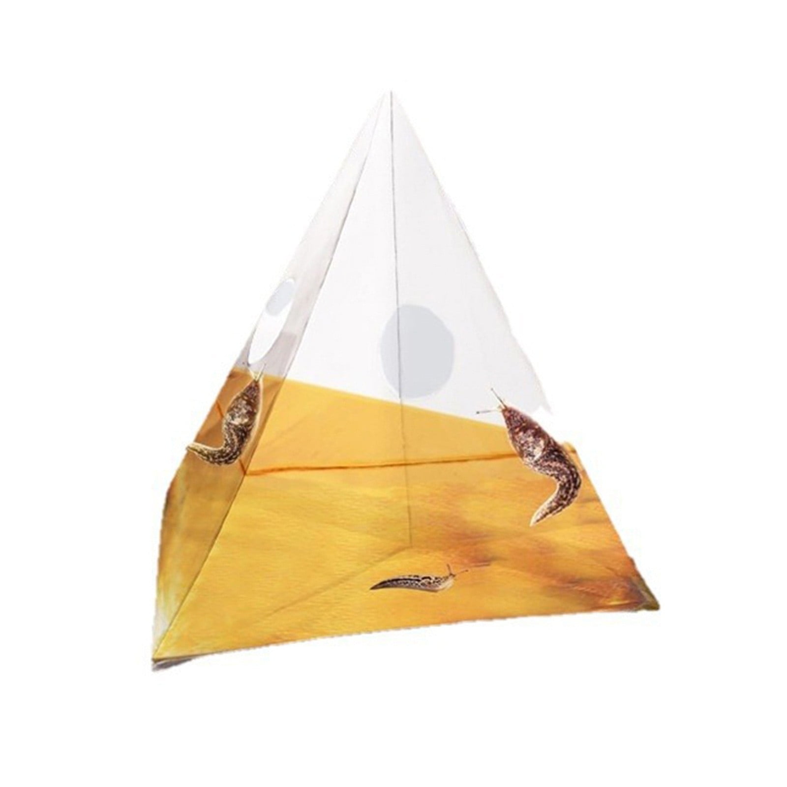 Indoor and outdoor slug traps, beer slug traps | Walmart en línea