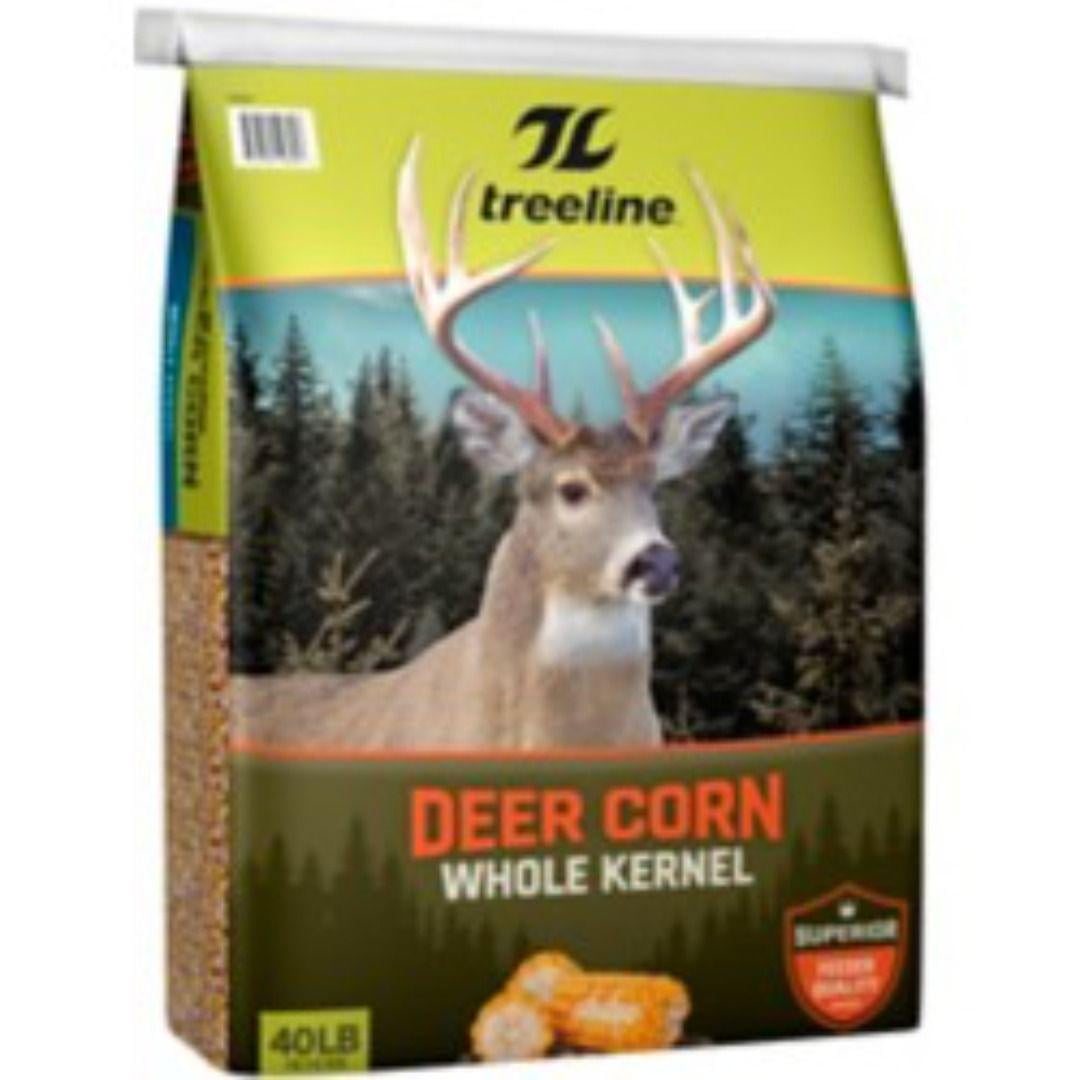 Corn Fed Deer