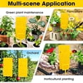 QARUN 550 Pcs 7.9 X 4 Inch Sticky Traps for Plant Gnats Double Sided ...