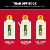 Catchmaster Pest Glue Traps 36 Count Indoor Insect and Mouse Sticky ...