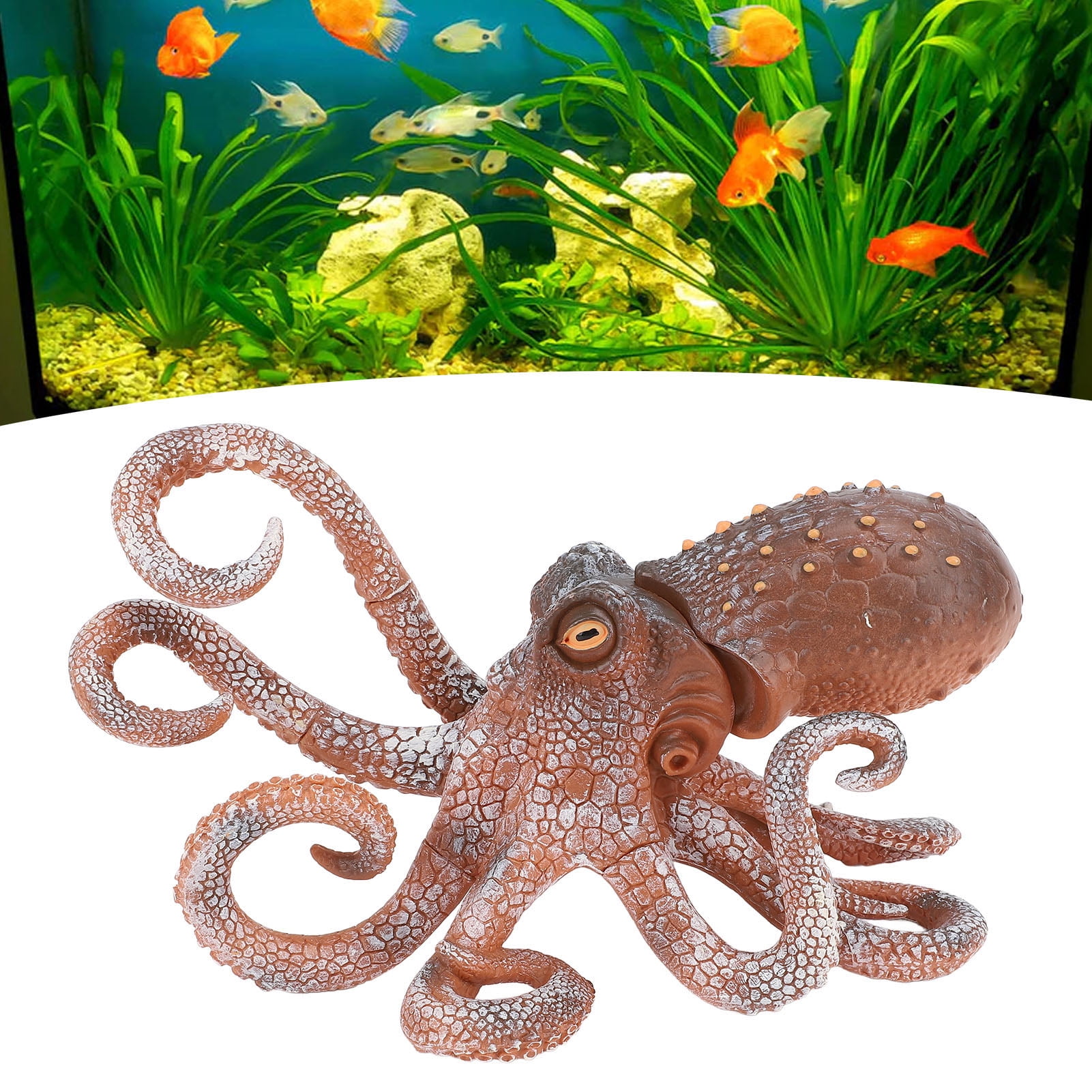 Click here for Walfront Ocean Octopus Model  Educational Octopus... prices