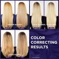 Loreal Elseve Color Vive Anti-Orange Color Correcting Purple Mask 150 ...