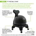 Champion Sports Exercise Ball Chair: FitPro Balance Ball Chair with ...