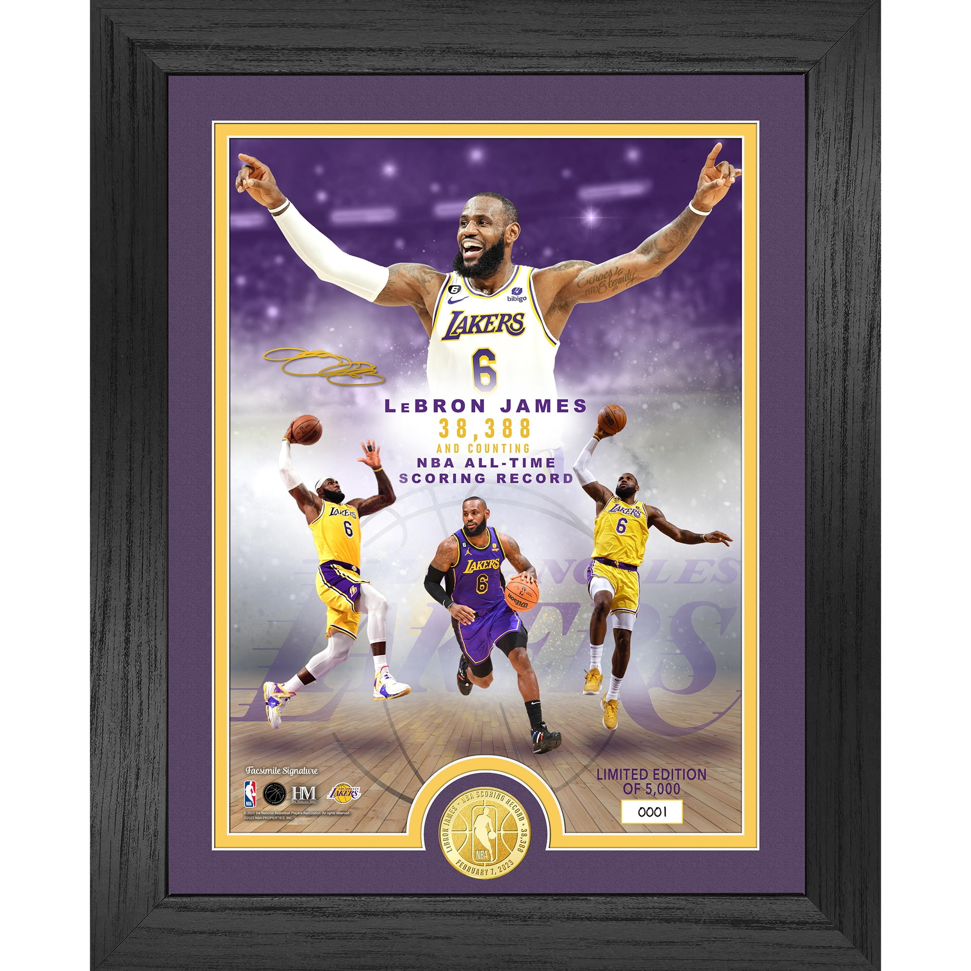 Highland Mint LeBron James Los Angeles Lakers 13'' x 16'' NBA Legends ...