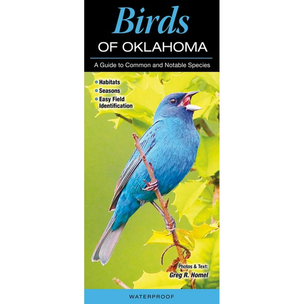 Birds of Oklahoma : A Guide to Common and Notable Species - Walmart.com ...