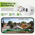 Bird Feeder with Window Camera, Camera for Window Viewing, AI ...