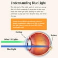 SEDLAK Blue Light Blockers - Blocks MOST of Blue Light - Gaming, Work ...