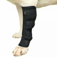 GASTROPOD Pet Joint Protector Dog Leg Auxiliary Belt Fixed Knee Brace ...