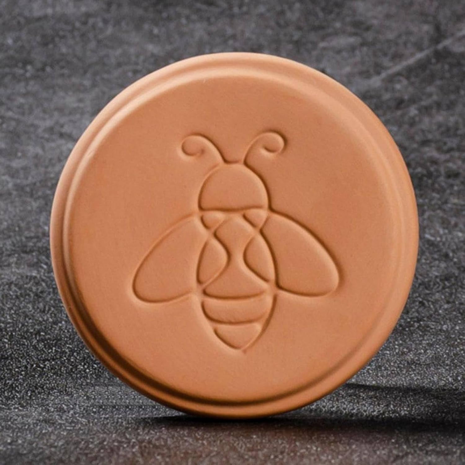 Terracotta Brown Sugar Saver- Brown Sugar Keeper Disc to Maintain Food ...