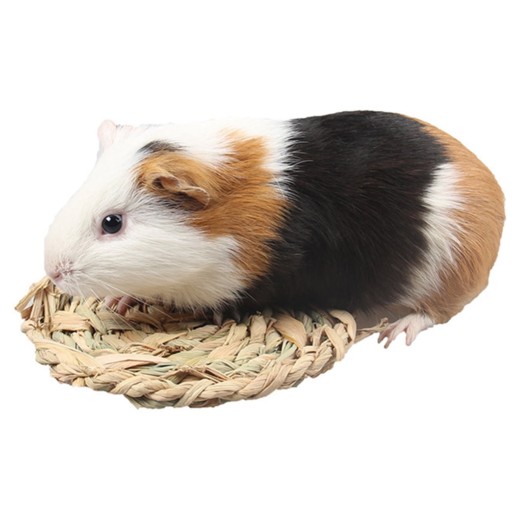 Pet Bed Mat Natural Straw Woven Hamster Mat Pet Chew Toy for Small ...