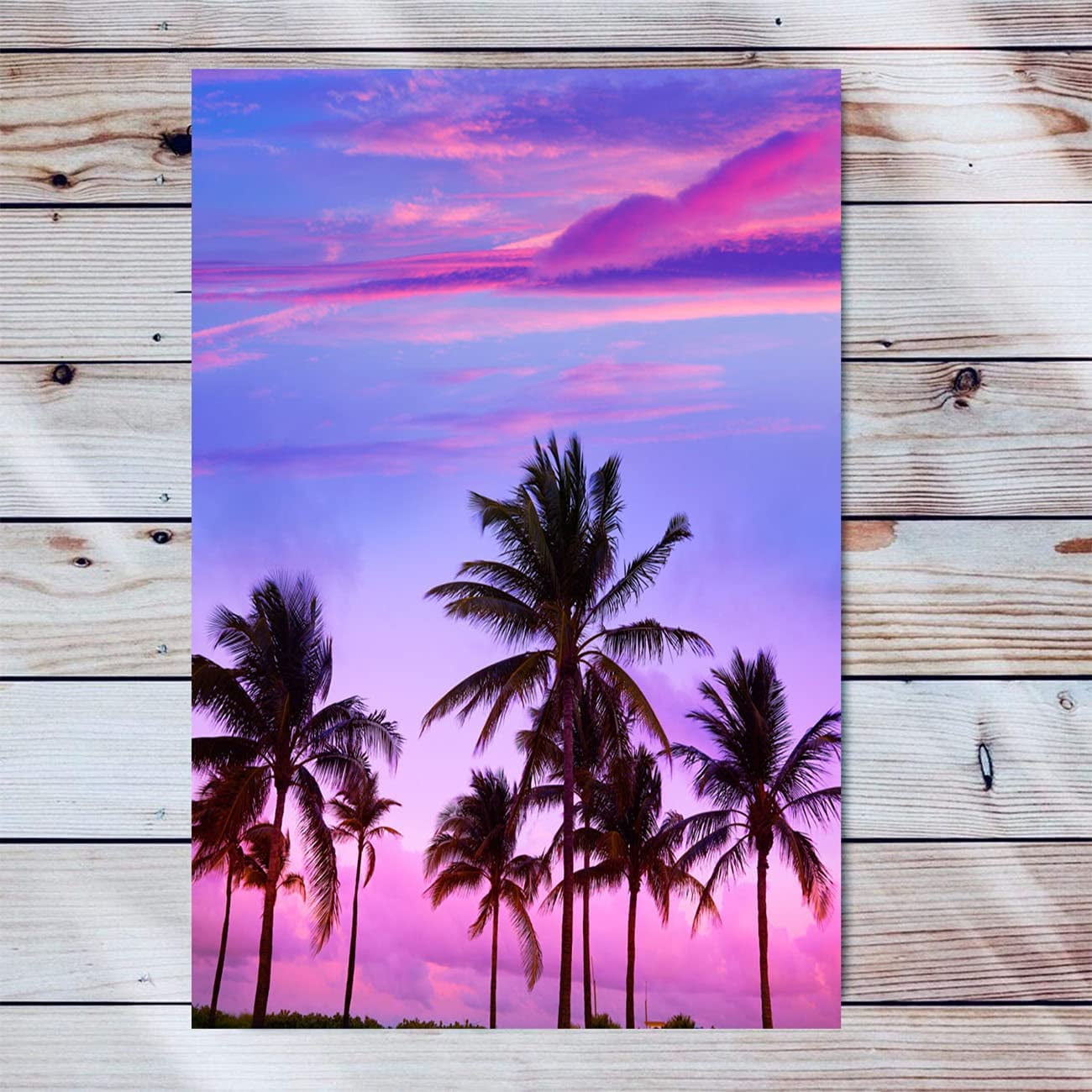 Miami Sunset Palm Trees
