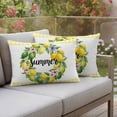 2 Pack Outdoor Waterproof Throw Pillow Covers,Summer Farm Lemons ...