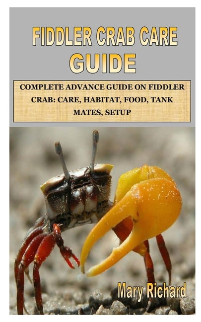 Fiddler Crab Recipes | Besto Blog