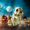 Halloween Clearance! FELTREE Halloween Skeleton, Halloween Dark Terror ...