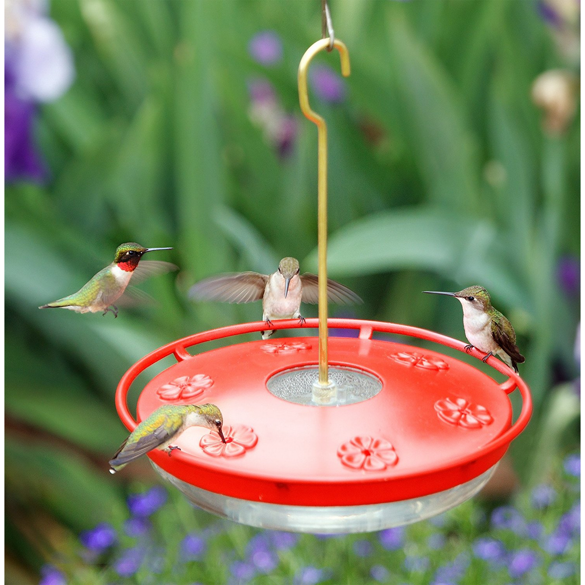 Click here for Aspects Hummzinger Highview Excel Hummingbird Feed... prices