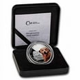 2021 Niue 1 oz Silver Proof Dog Breeds: Golden Retriever - Walmart.com