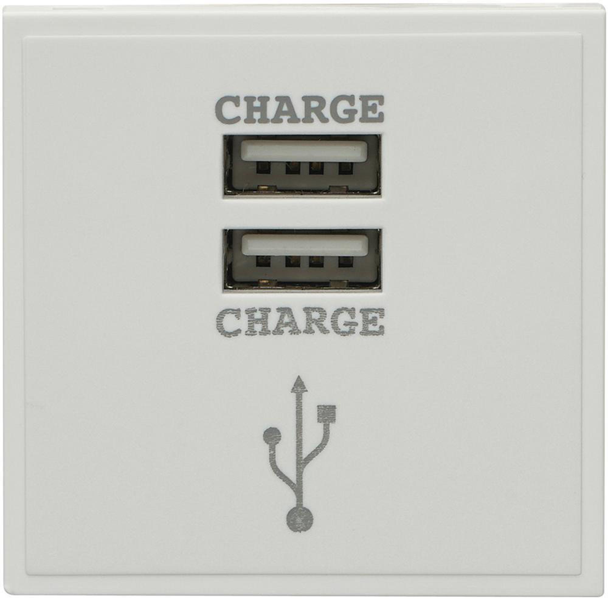 VOLEX ACCESSORIES - Double USB Charging Module - Walmart.com