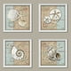 Trendy Coastal Art Shells on Linen and Postcard Style-background ...