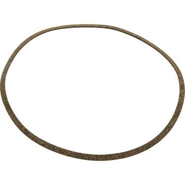 Pentair 516252 Weir Gate Assembly Replacement for Bermuda Gunite ...