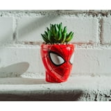 Marvel Comics Spider-Man 3-Inch Ceramic Mini Planter With Artificial ...