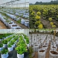 Fabric Grow Bags , Round Planting Containers with Breathable Aeration ...