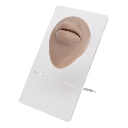 Piercing Model,Simulated 3D Mouth Model Piercing Practice Mouth Model ...