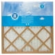 Protect Plus True Blue Air Filter (Set of 12) - Walmart.com