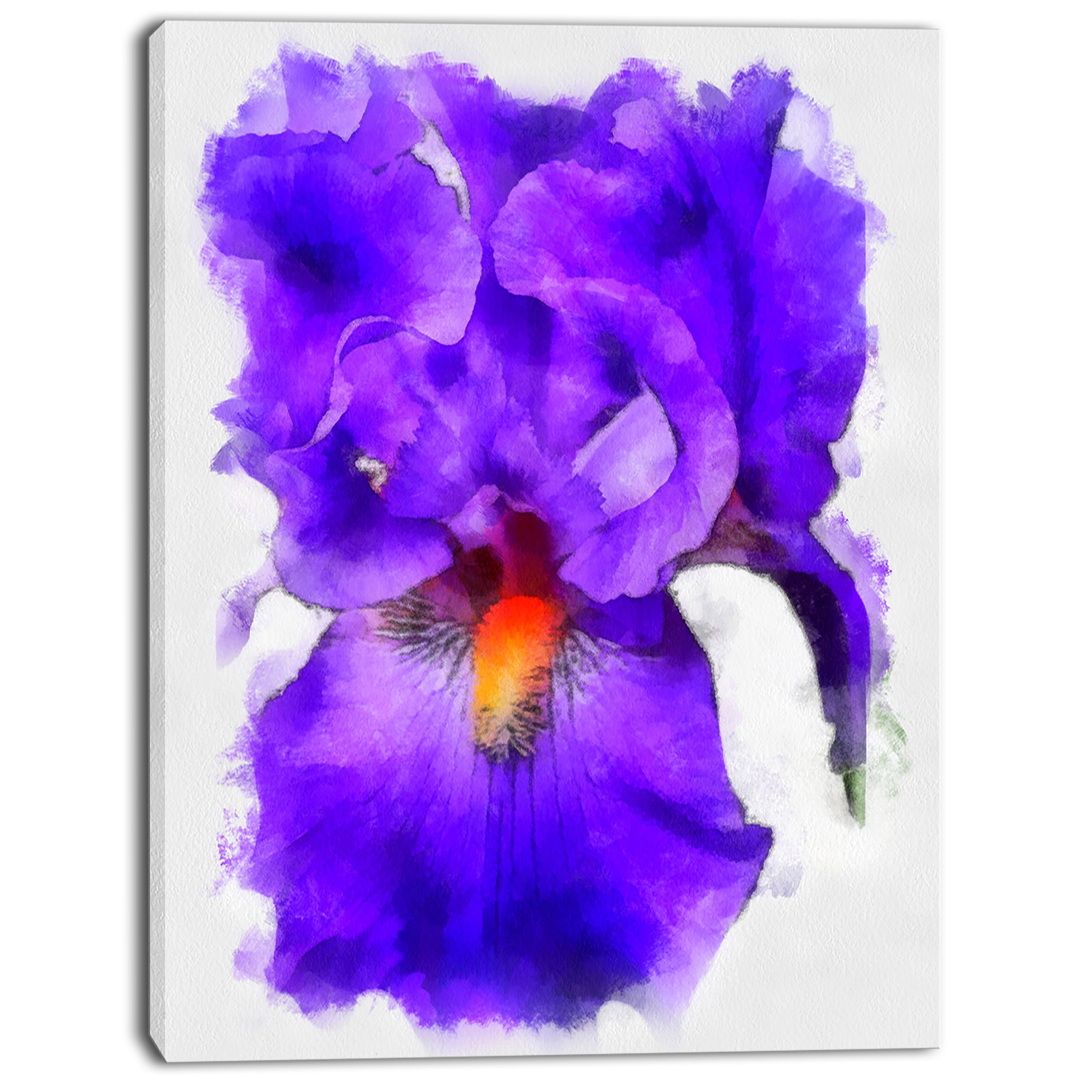 Iris Flower Designs
