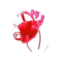 Qliuoazw Hat Flower Mesh Ribbons Feathers On A Headband And A Clip Tea ...