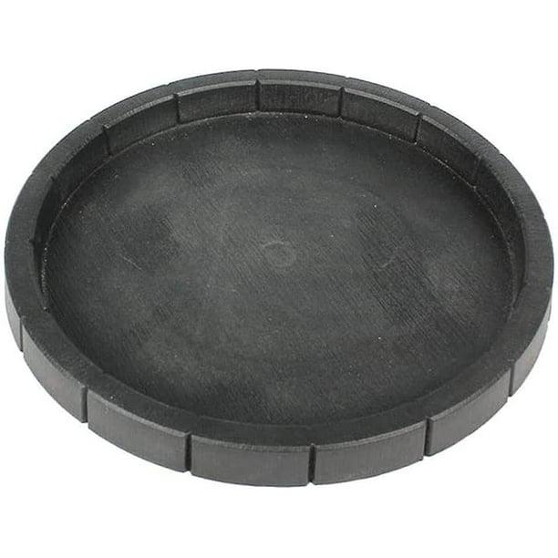 Reptile Water Bowl Shallow Dish Reptile Feeding Bowl Glass Container ...