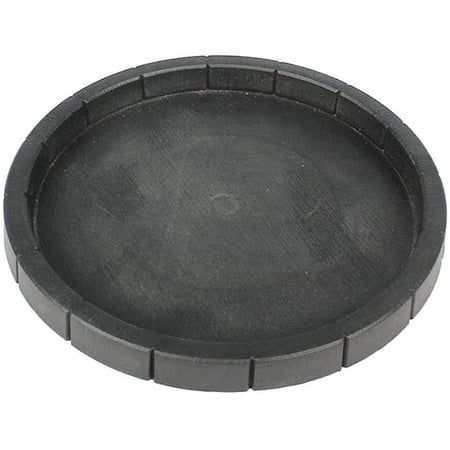Reptile Water Bowl Shallow Dish Reptile Feeding Bowl Glass Container ...