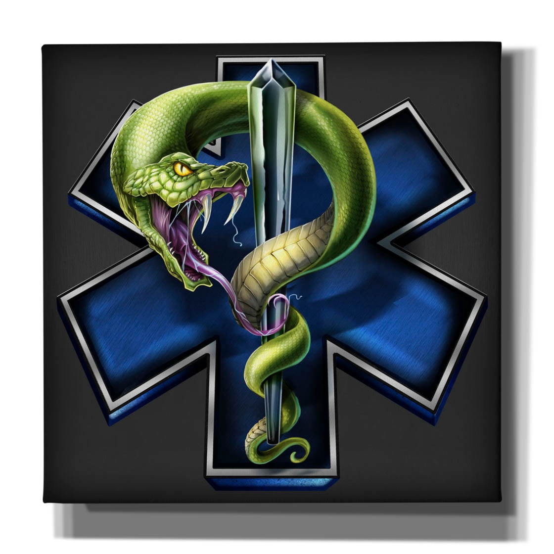 Epic Graffiti 'EMS Star of Life With Snake' by Flyland Designs, Canvas Wall Art, 12"x12 ...