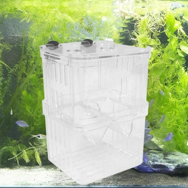 Huadaliy Acrylic Fish Tank Breeding Box Aquarium Double Guppies ...