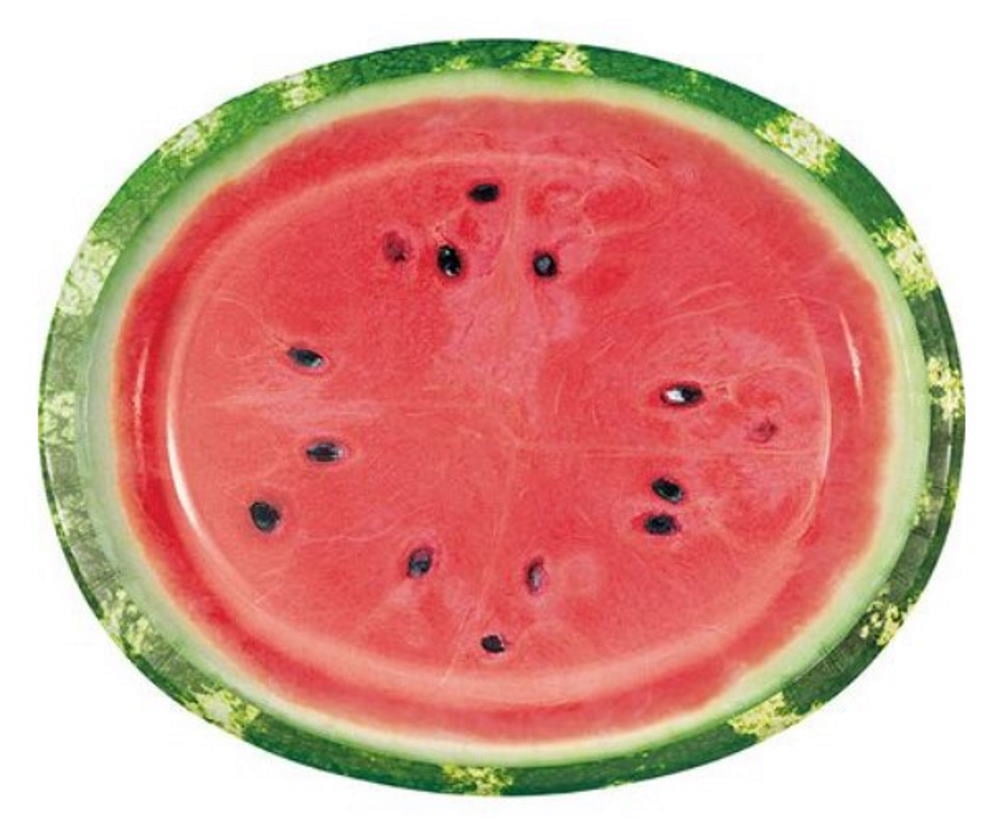Farm Fresh Watermelon 8 Ct 12 x 10" Oval Banquet Paper Plates Platters ...