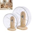 AOOOWER Low Noise Small Animal Exercise Wheel Stable Wood Base Clear ...