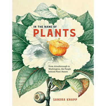 Flora of Middle-Earth: Plants of J.R.R. Tolkien's Legendarium ...