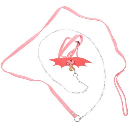 3 PCS Turtle Leash Walking Rope Pet Supplies Gift Safety Tortoise ...