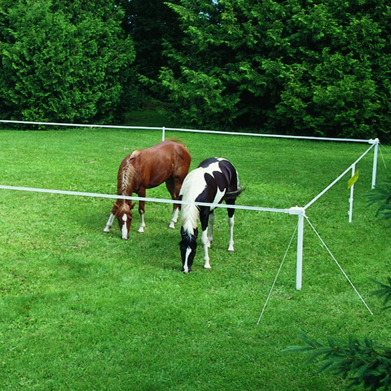 Electric Horse Fence