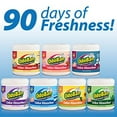 OdoBan Citrus Scent Deodorizer & Air Freshener, 14oz Solid Odor ...