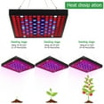 "LED Grow Lights, 2000/3000W Growth Lights, 81/169LEDs, Full Spectrum ...