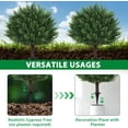 Artificial Cypress Topiary Tree with Ground Spike, Set of 2 Artificial ...