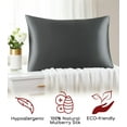 Mellanni Mulberry Silk Standard Size Pillowcase, Dark Gray, Hair & Skin ...