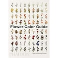 Flower Color Guide (Paperback) - Walmart.com