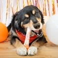 Nylabone Power Chew Braided Bully Stick Alternative Dog Toy, Dog Chew ...