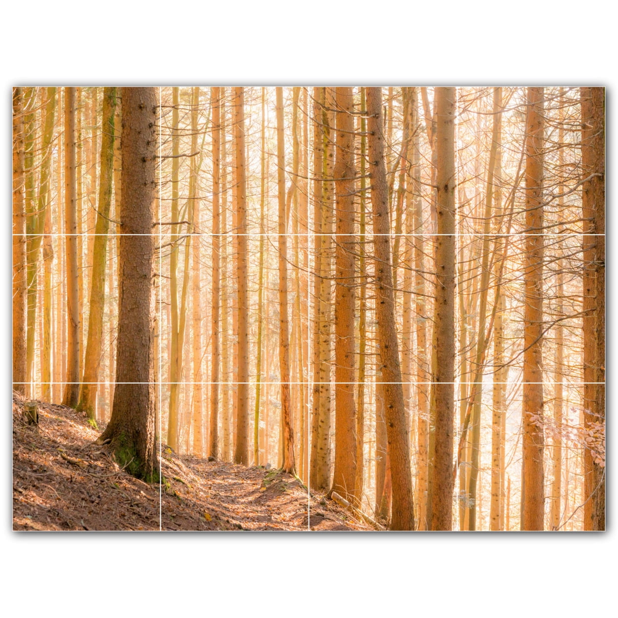 Picture-Tiles.com: Trees Ceramic Tile Wall Mural WAL501007-43S. 17"W x ...