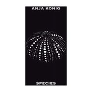 Cardfight!! Vanguard, Volume 12 - Walmart.com