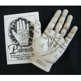 Palmistry Hand Model Resin Sculpture Fortune Telling Palm Reading with ...