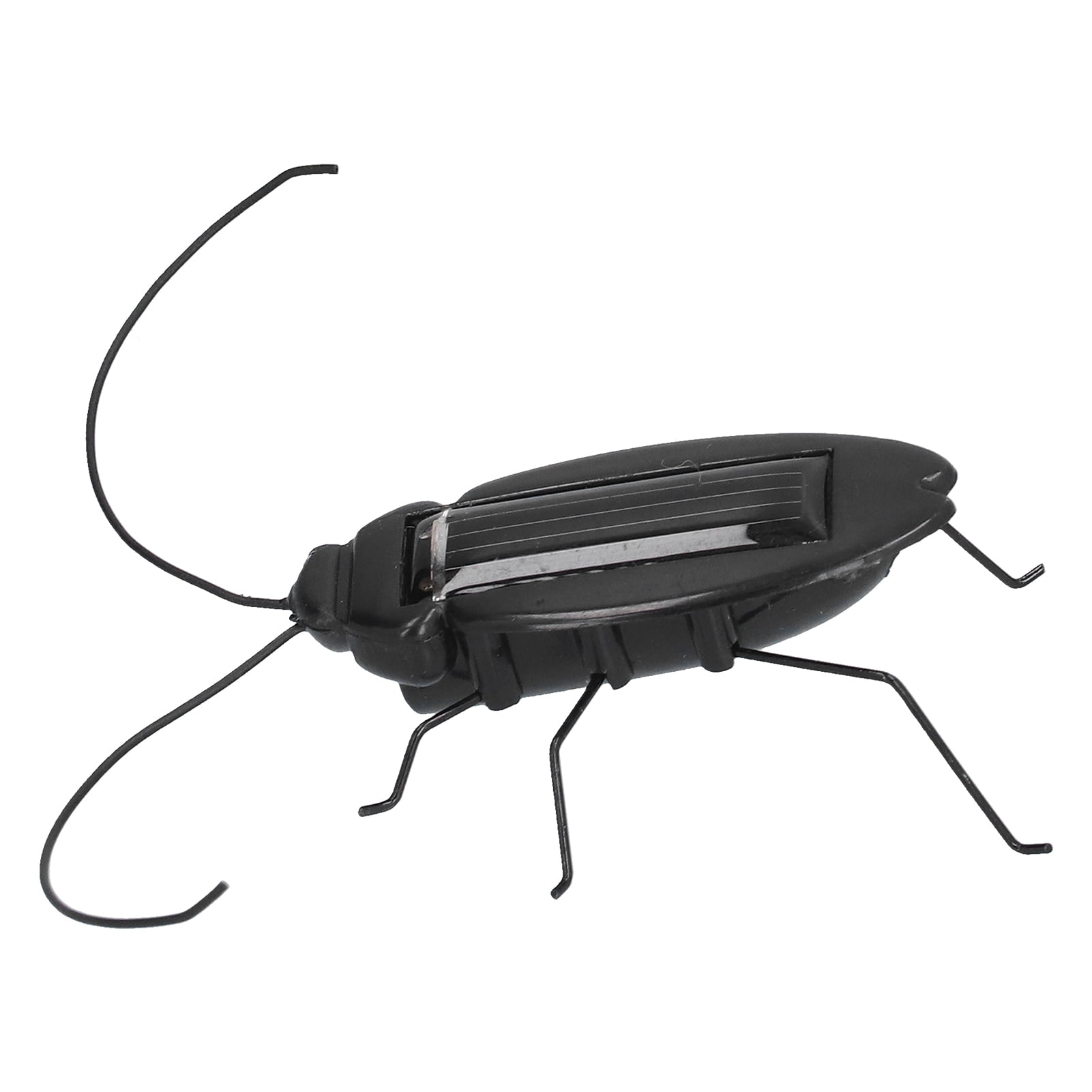 Cockroaches Model Solar Powered Insect Toys Thief Prevention For ...