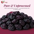 NY Spice Shop, Dried Currants, 1 Pound, Dried Red Currants - Walmart.com